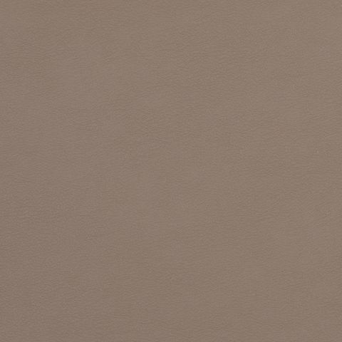 Agua Fabrics | Lunar. Solid, Plain + Scorpio Cream